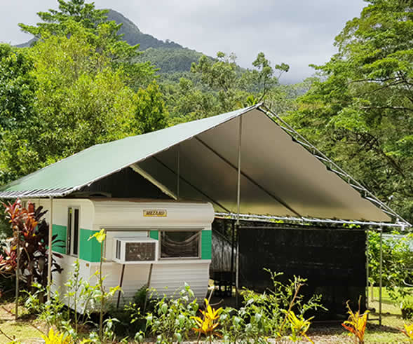 Daintree Rainforest Village - Camping in the heart of Daintree Rainforest