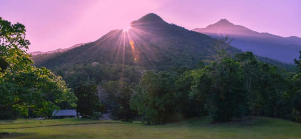 Phil Britten Explores the Mystique of the Daintree Rainforest: A ...
