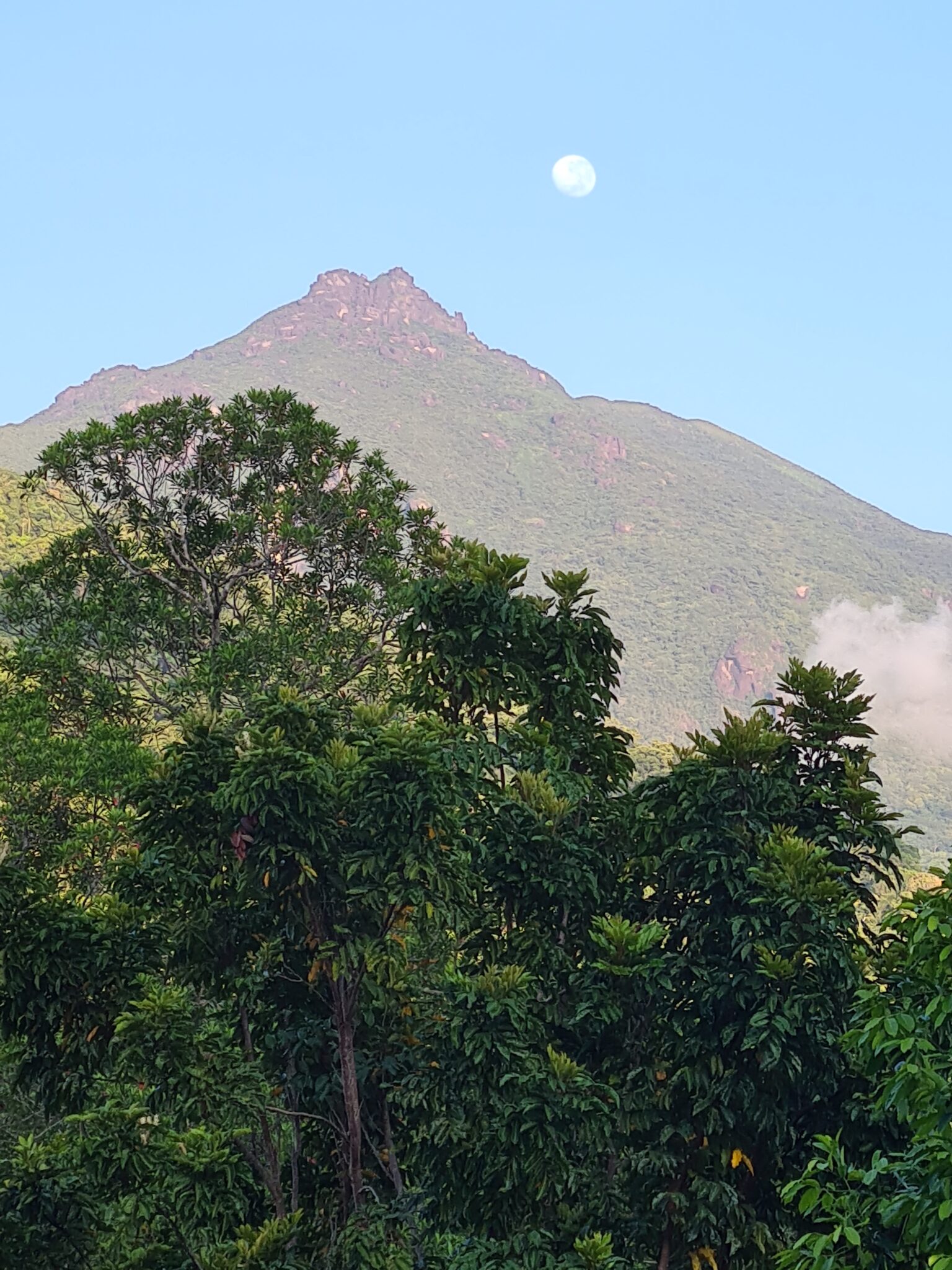 Camping In the Daintree Rainforest 2023 (Updated) - Daintree Rainforest ...